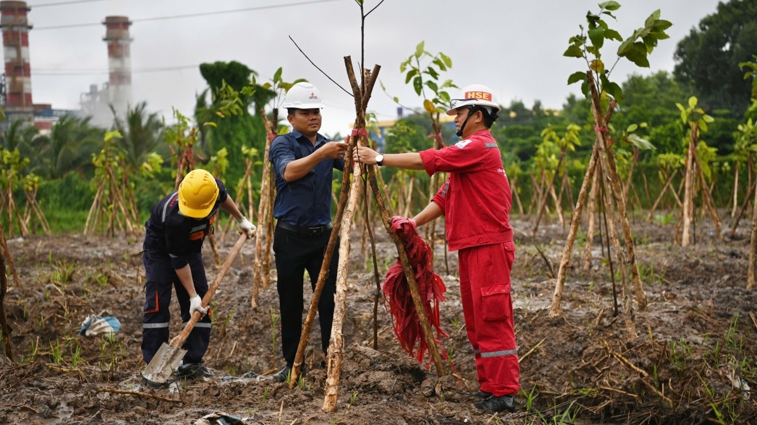 PV Power tổ chức khóa đào tạo “Nâng cao kiến thức về vận hành hệ thống ...