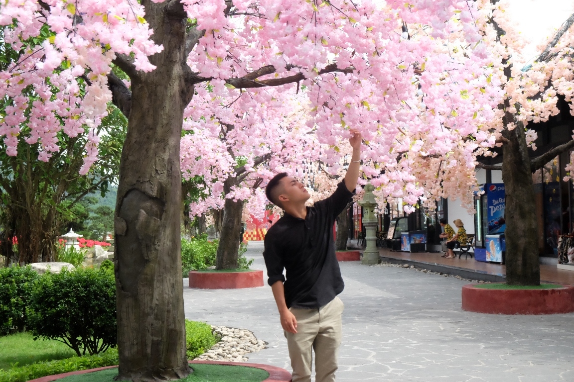 Lễ hội Mặt trời mọc - điểm hẹn "hot nhất" cho cả gia đình tháng 7 này